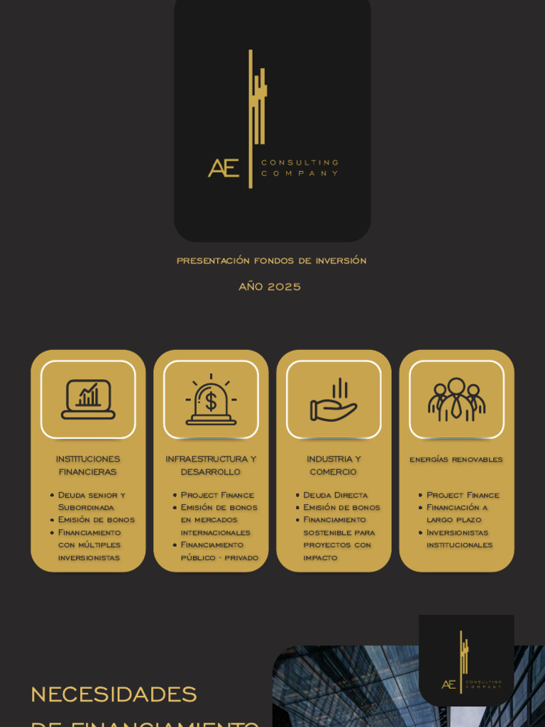 AE Consulting - Fondo de Inversión Año 2025 | PDF | Deuda | Inversiones
