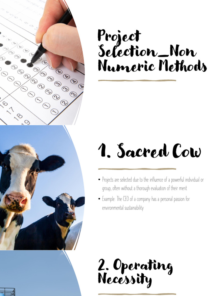 Non-Numeric Project Selection Methods | PDF | Business | Economies