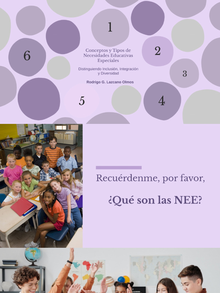 Conceptos y Tipos de NEE | PDF