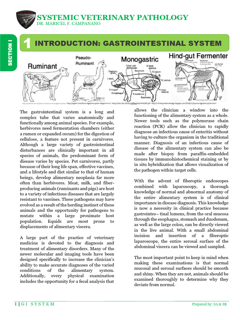 Pathology of Digestive System | PDF | Digestion | Stomach