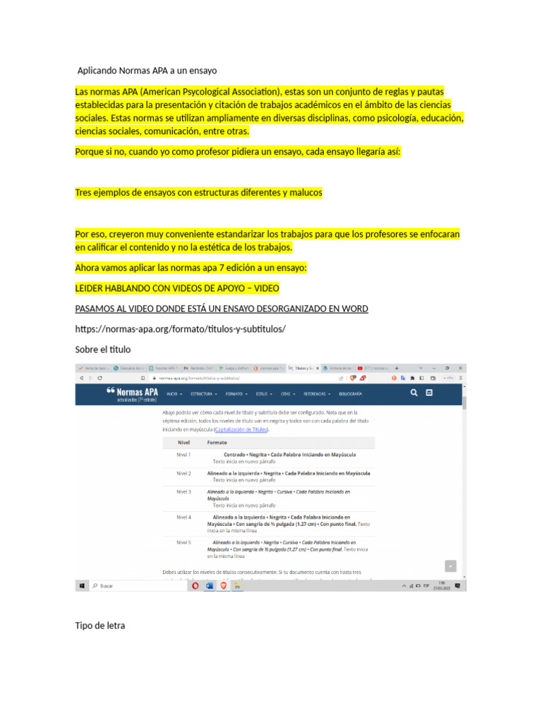 Aplicando Normas APA A Un Ensayo | PDF