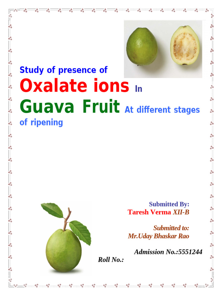 Chemistry Investigatory Project Presence of Oxalate Ions in Guava at ...