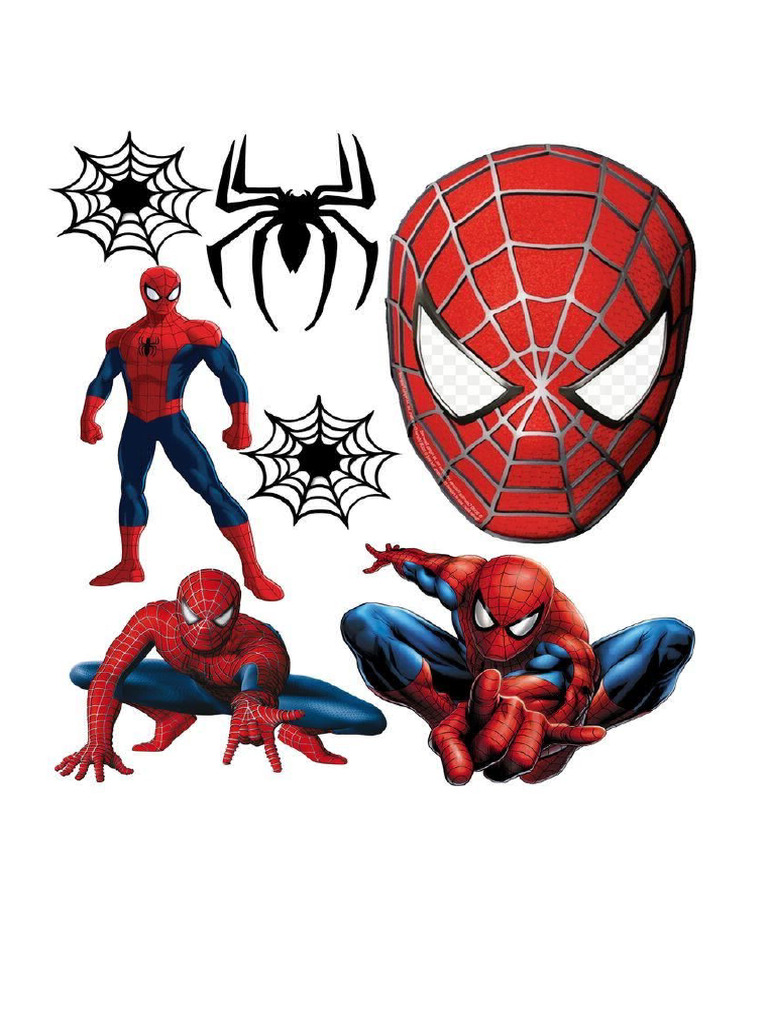 SPIDER | PDF