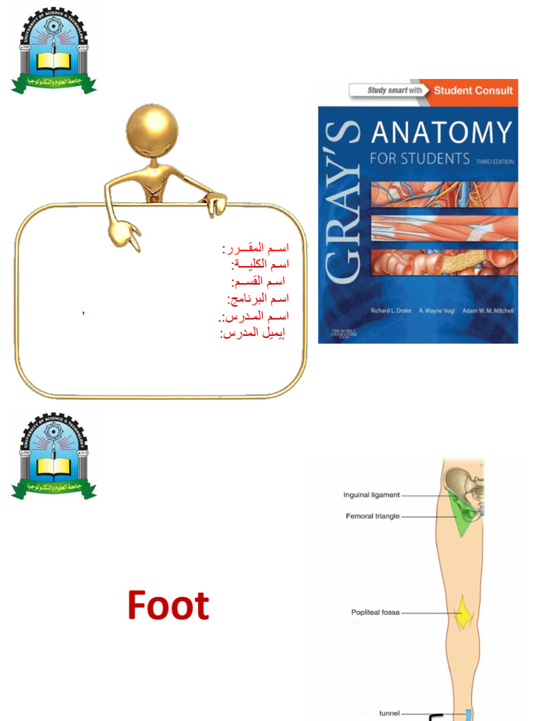 6 Foot | PDF