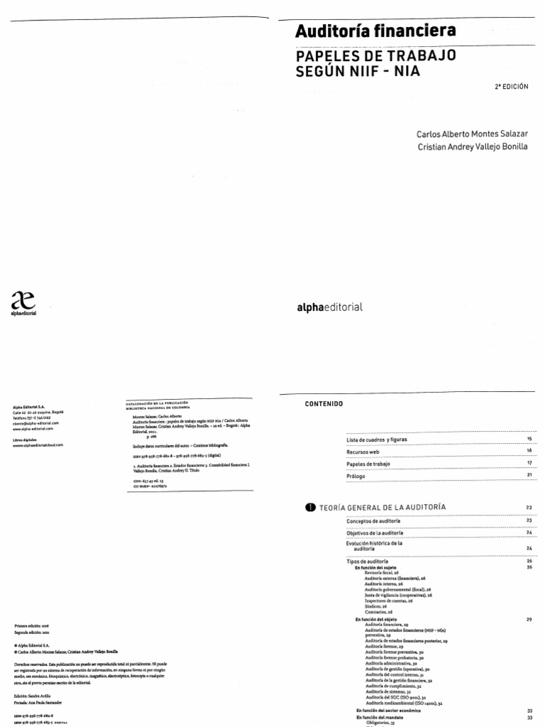Auditoria Financiera. Papeles de Trabajo Segun Niif | PDF