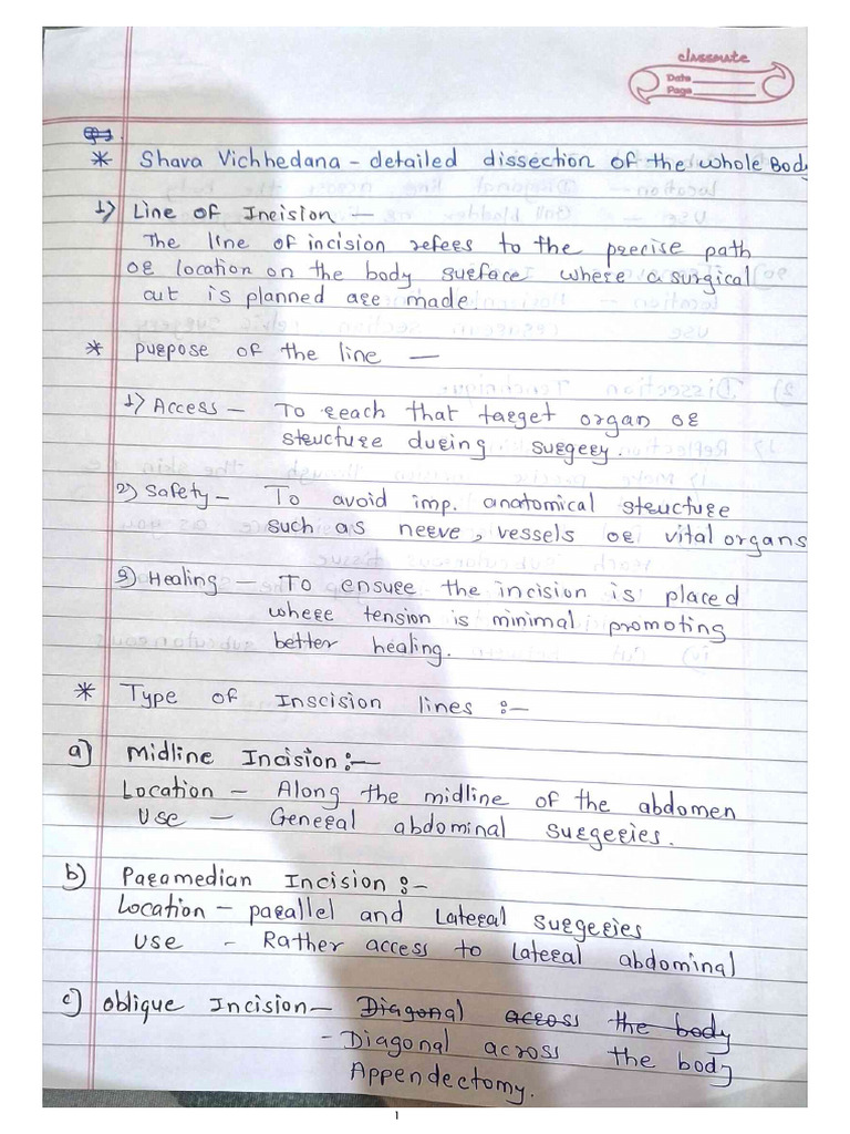 P 5 Anatomy Practicl | PDF