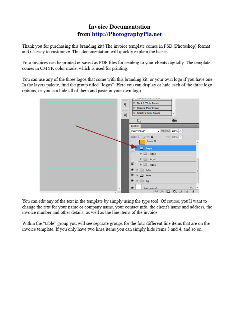 Invoice Documentation | PDF