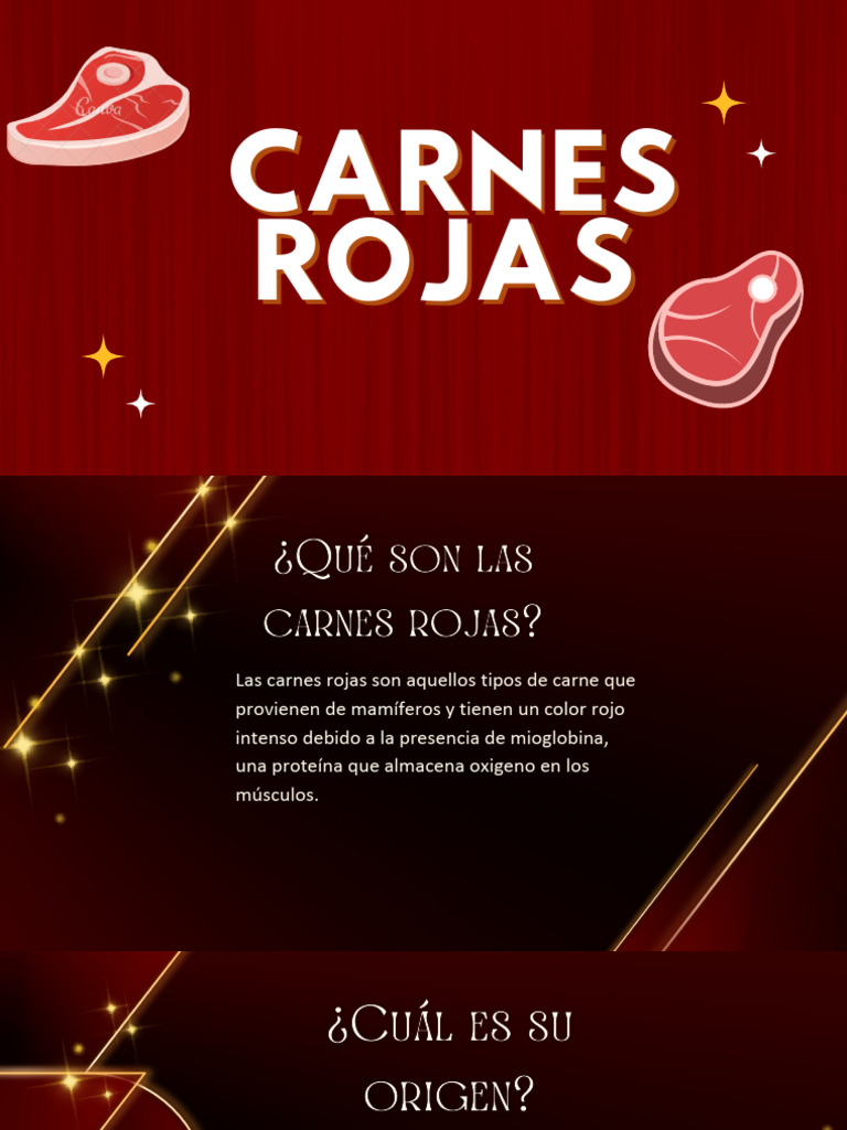 Tipos de Carnes Rojas y Ejemplos | PDF