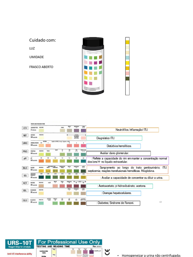 Exame Químico Da Urina | PDF | Sangue | Especialidades médicas