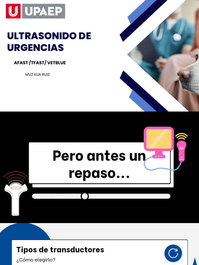 Fast y Vetblue | PDF | Ultrasonido | Medicina CLINICA