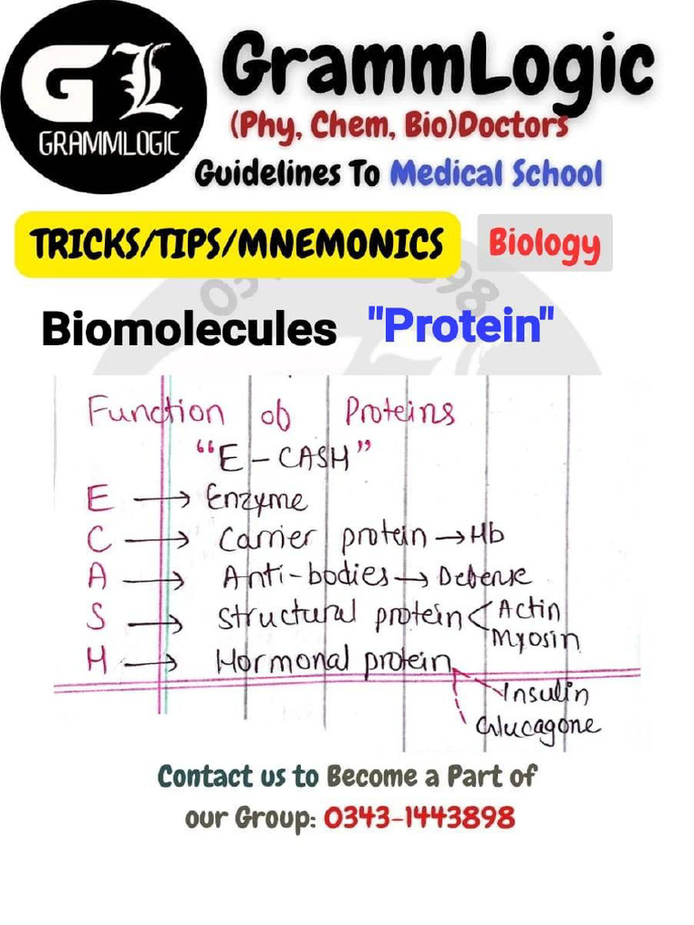 Bio Mnemonics Grammlogic | PDF