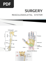 American Board of Orthopaedic Surgery: Acceptable CPT Codes For ...