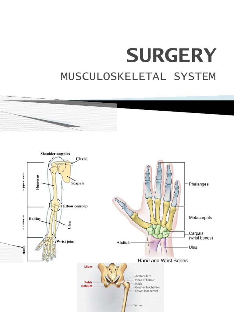 CPT Codes for Musculoskeletal Surgery | PDF | Musculoskeletal System ...
