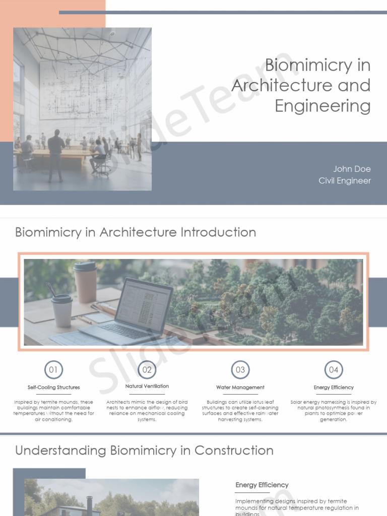 Biomimicry in Architecture and Engineering: John Doe Civil Engineer ...
