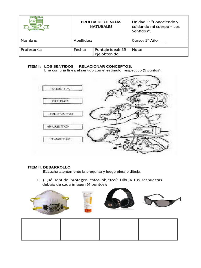 Los Sentidos Unidad 1 | PDF