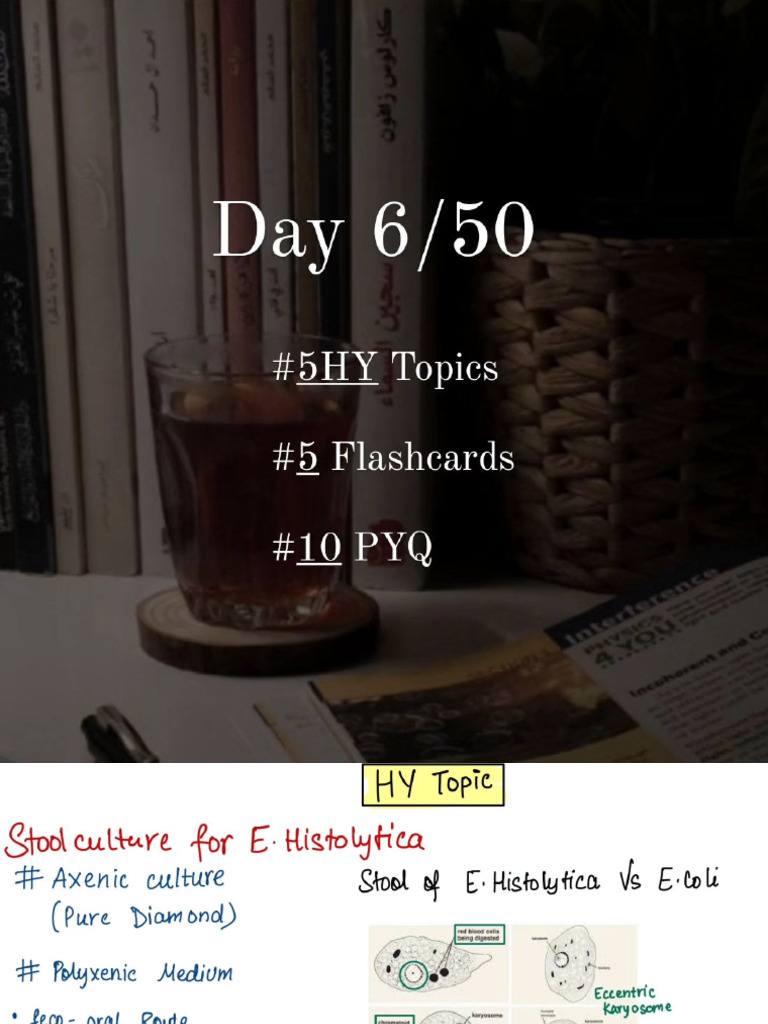 High Yeild Flashcards6 | PDF