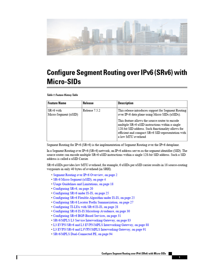 Configuring Segment Routing Over Ipv6 Srv6 Micro Sids | PDF | I Pv6 | Internet Protocols