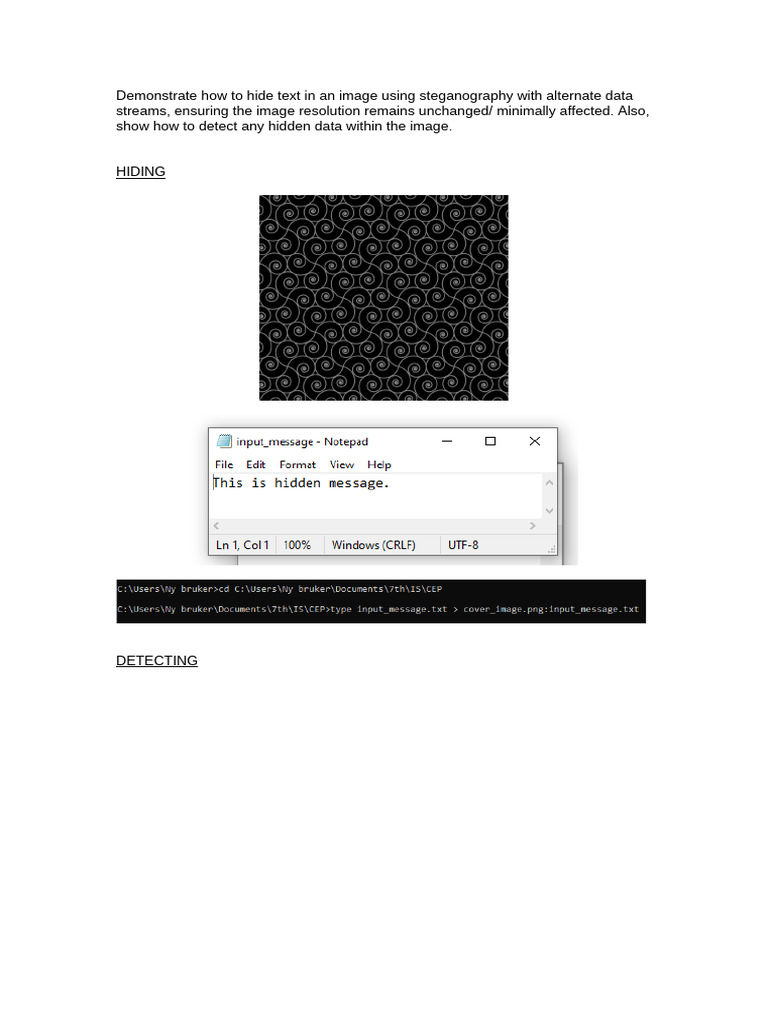 Steganography 1 | PDF
