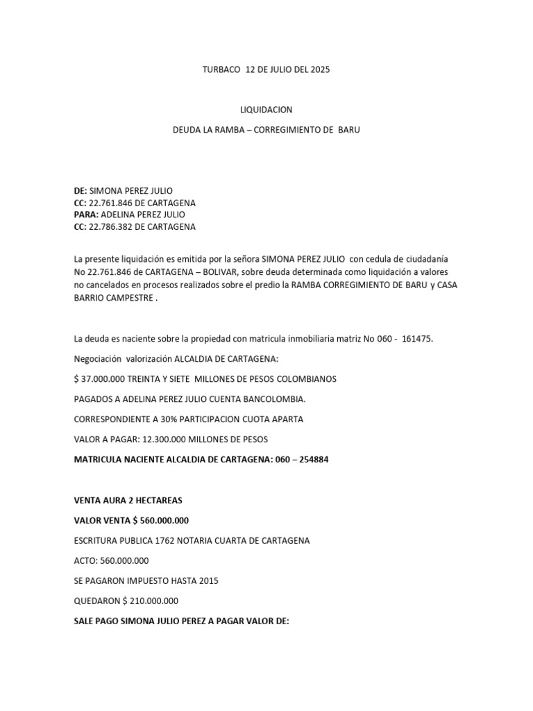 Liquidacion Deuda Baru Simona Perez Julio | PDF