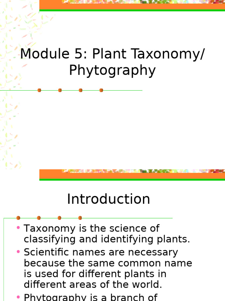 Plant Taxonomy 2 | PDF | Leaf | Plants