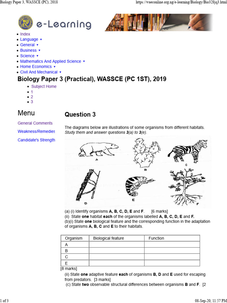 Biology Paper 3 - PC 2019 - Q3 | PDF | Leaf | Camouflage