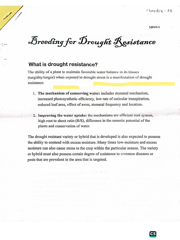 Drought Resistance in Plants Explained | PDF | Leaf | Stoma