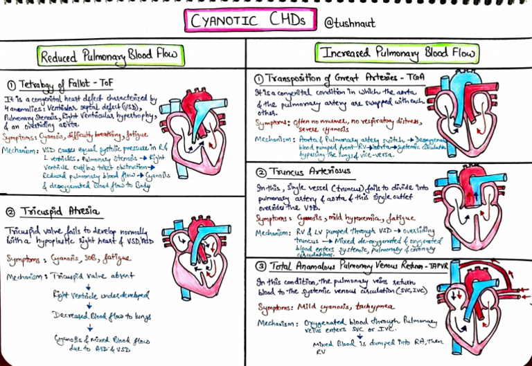 Cyanotic CHDs | PDF