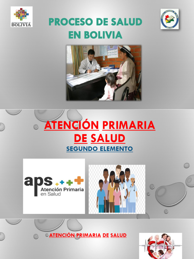 Presentacion Aps | PDF | Hospital | Cuidado de la salud