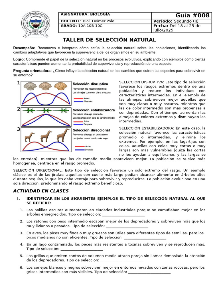 Taller sobre Selección Natural en Biología | PDF | Seleccion natural ...