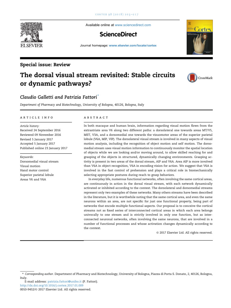 The Dorsal Visual Stream Revisited Stable Circuits or Dynamic Pa 2018 Corte | PDF | Visual ...