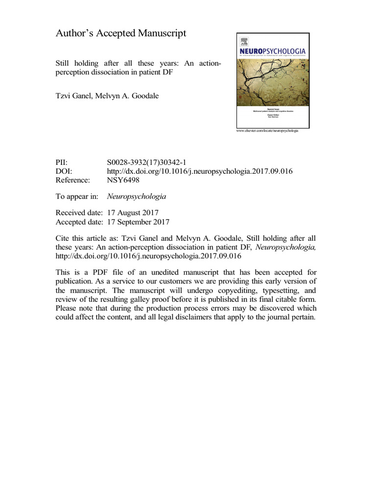 2017 Milner Patient DF, Sehr Wichtig | PDF | Visual Perception ...