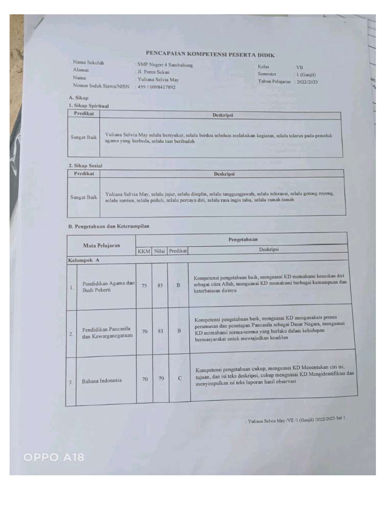 Raport Compressed | PDF