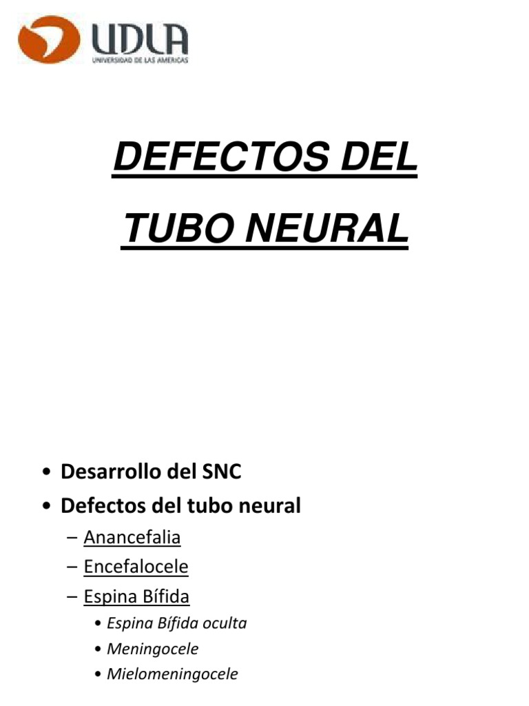 Defectos del Tubo Neural: Anencefalia y Más | PDF | Anatomía ...