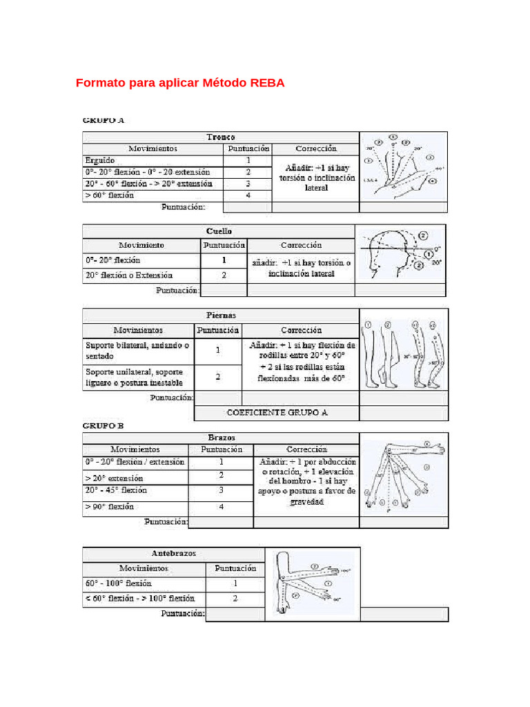 Formato Metodo REBA | PDF