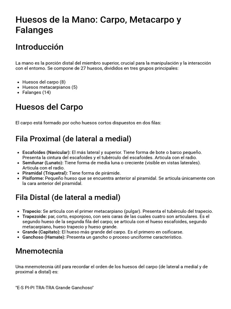 Huesos de la Mano: Carpo, Metacarpo y Falanges | PDF | Mano | Sistema ...