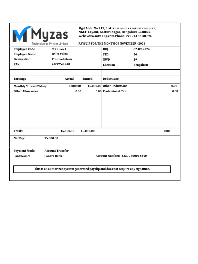 Payslip Nov 2024 | PDF