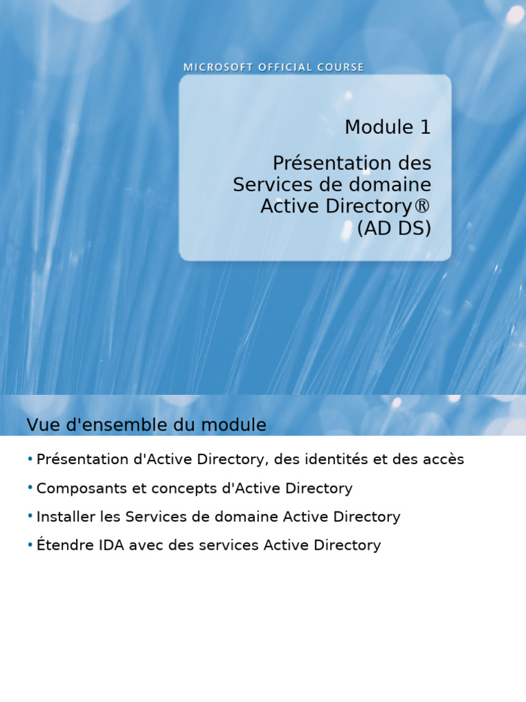 Module 1 Présentation Des Services de Domaine Active Directory® (Ad DS) | PDF | Active Directory ...