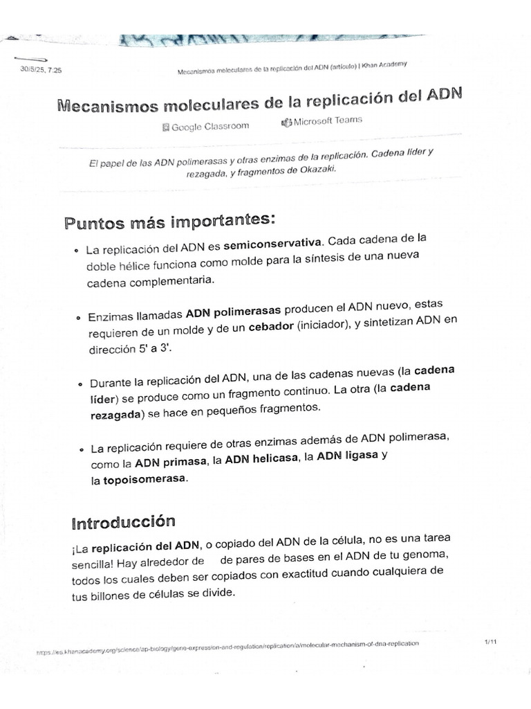 Réplica Adn | PDF