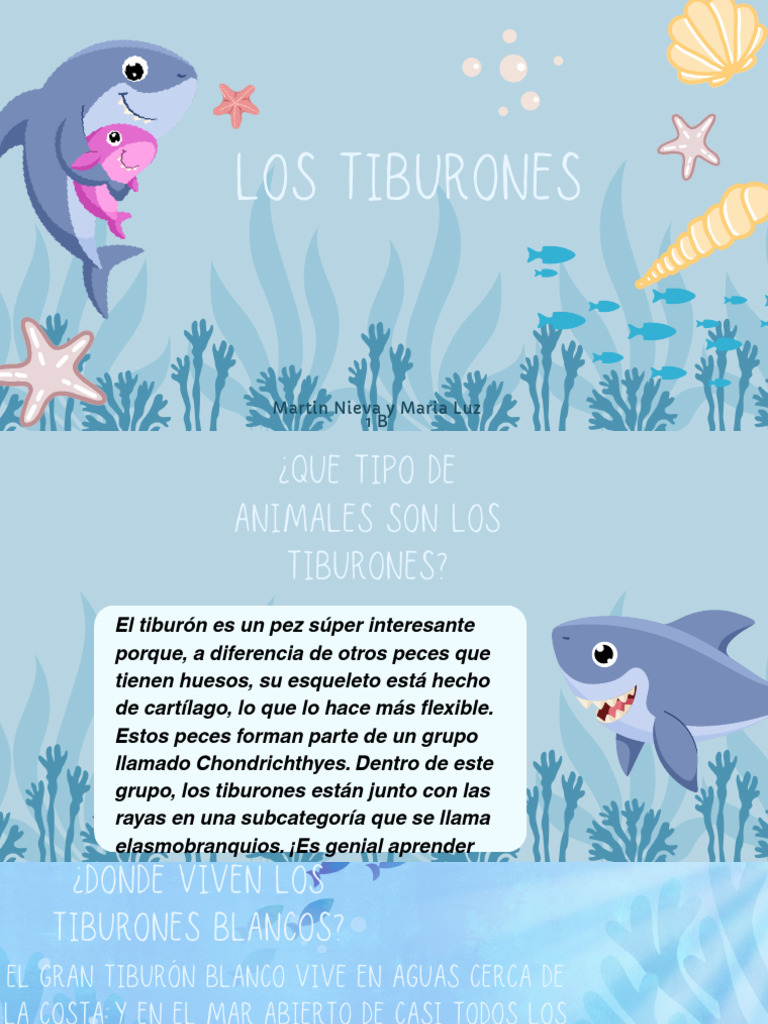 Los Tiburones Blancos | PDF | Tiburones | Depredación