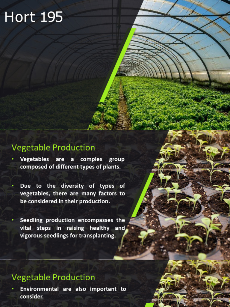 1-Importance of Vegetables | PDF | Vegetables | Fruit