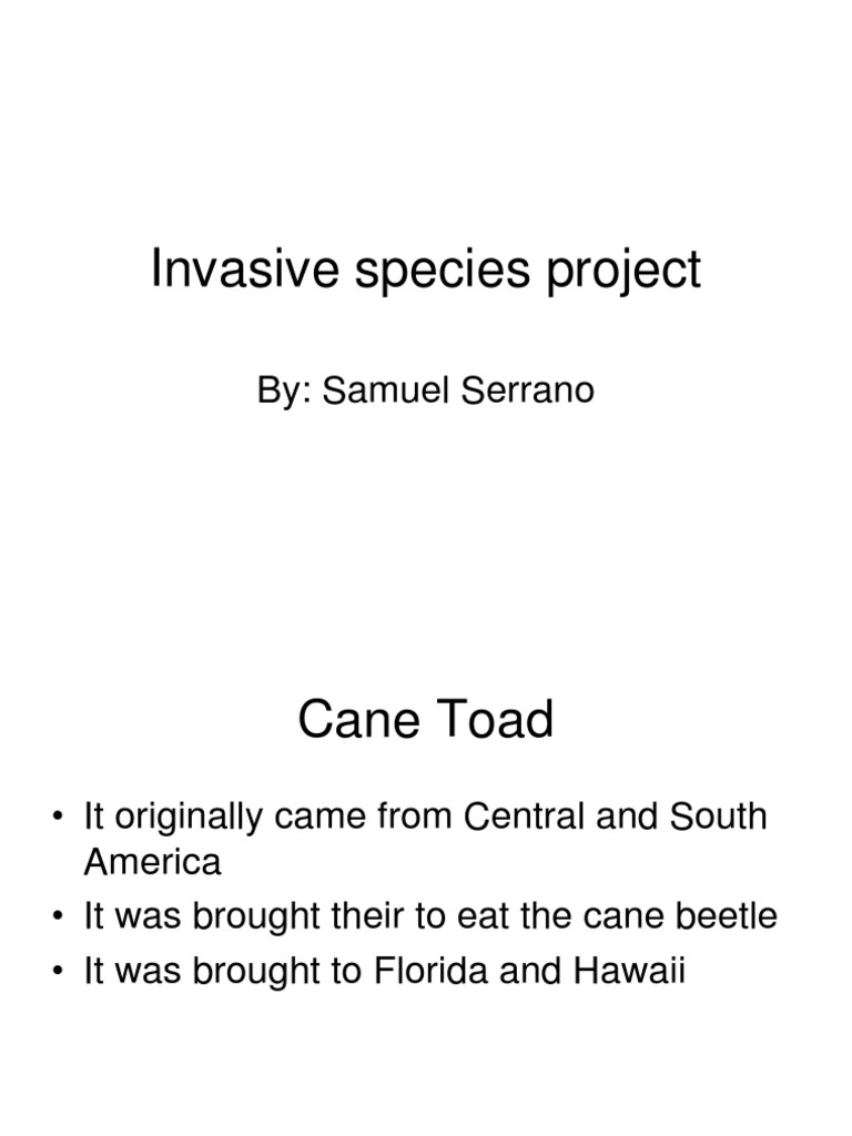 Invasive Species: Cane Toad, Mongoose, Hogweed | PDF | Home & Garden ...