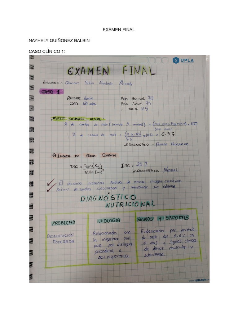 Nayely Quiñonez Balbin | PDF