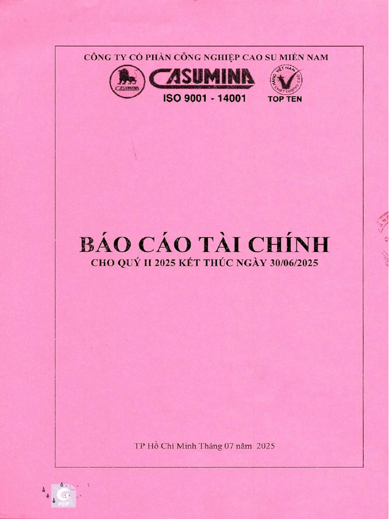 Công Ty C PH N Công Nghi P Cao Su Mi N Nam | PDF