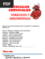 Anatomía de los Músculos Paravertebrales | PDF | Tejido suave ...