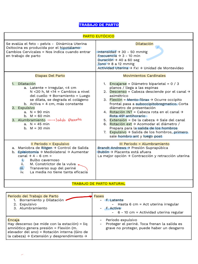 Parcial 1 | PDF | Parto | El embarazo