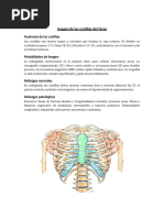 Colufase - Hoja - Informativa - Pacientes Farmacologia | PDF