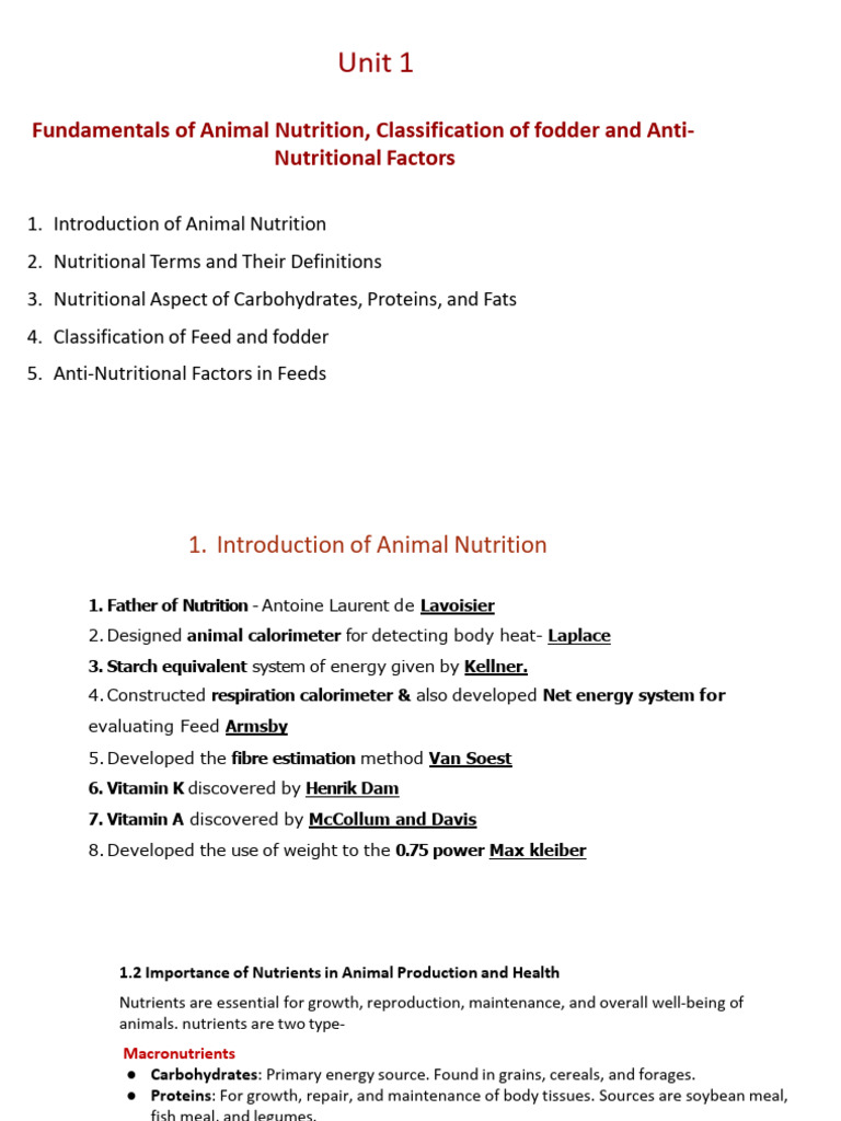 Animal Nutrition 1 | PDF | Cofactor (Biochemistry) | Amino Acid