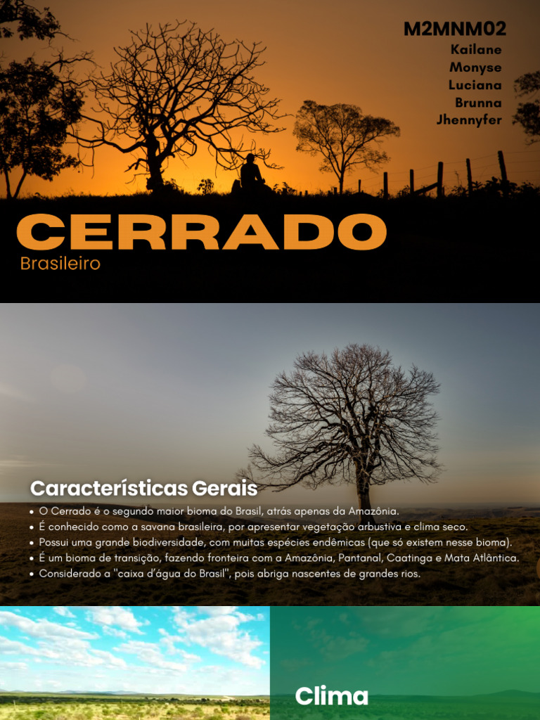 Slide - Cerrado Brasileiro | PDF
