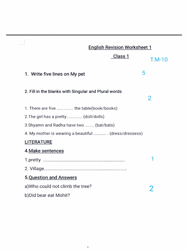 English Revision Worksheets | PDF
