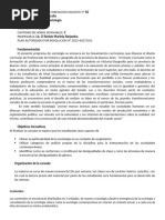 ¿Qué es una cundina? Significado y uso | PDF